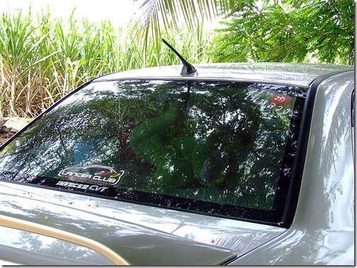 Tres Lenguas Sexo En El Coche 2169
